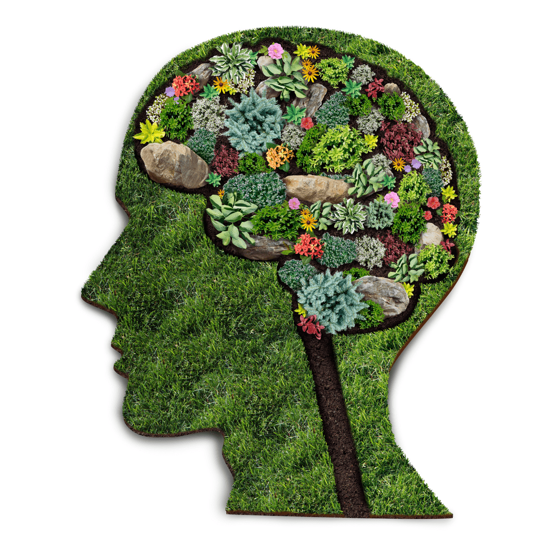 Mindful Growth: How to Achieve Sustainable Success