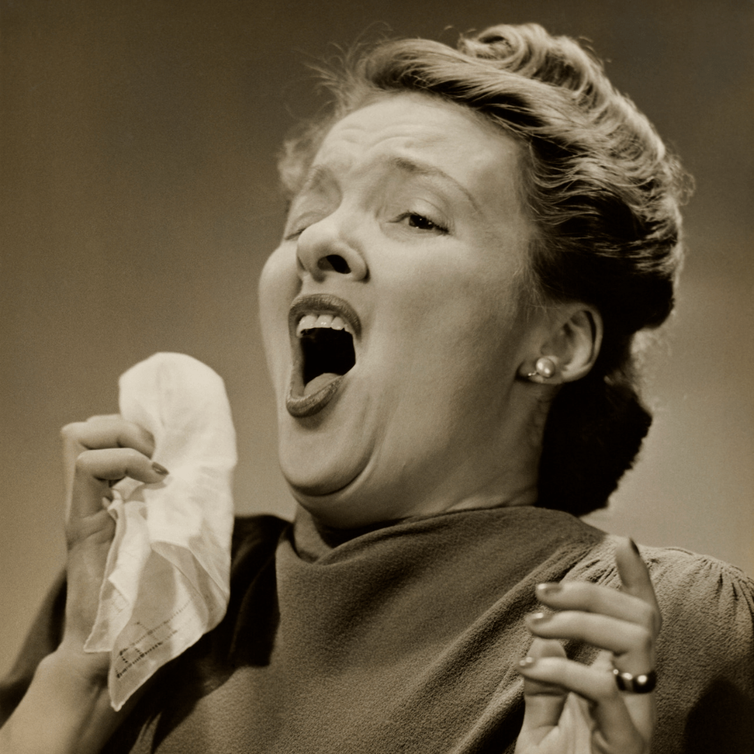 Stink Bug Spiritual Meaning- Symbolic Significance of Stink Bugs