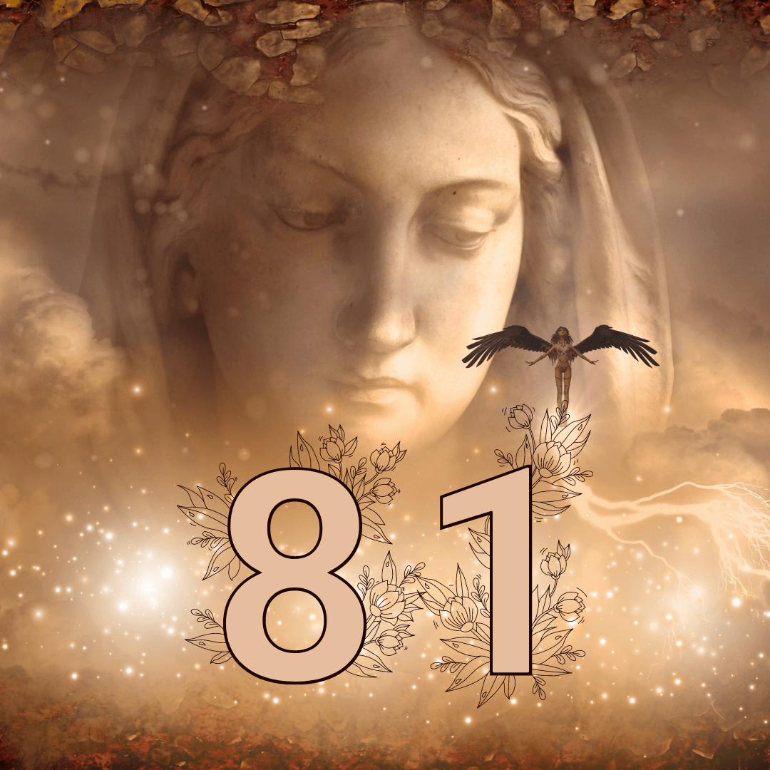 838 Angel Number Twin Flame - The Spiritual Parrot