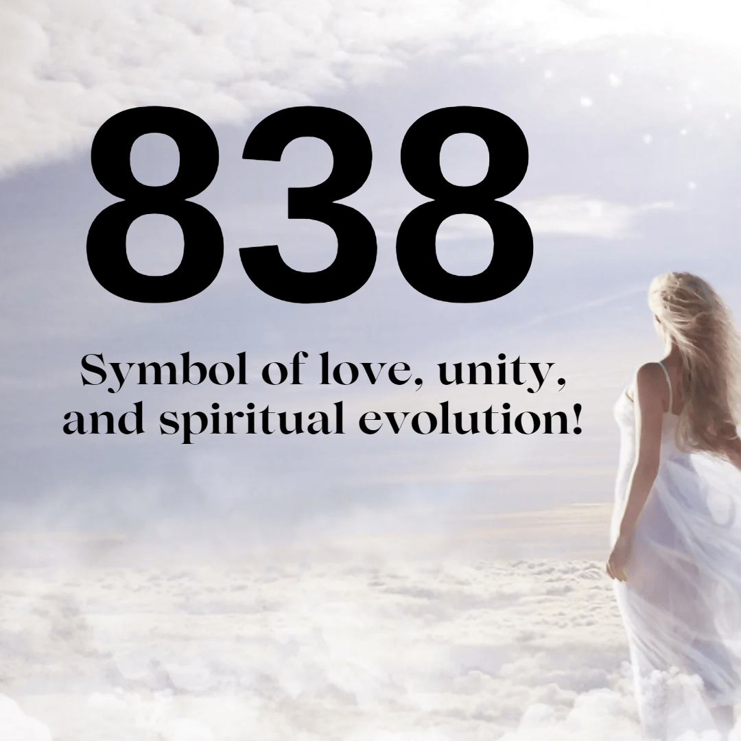 838 Angel Number Twin Flame - The Spiritual Parrot